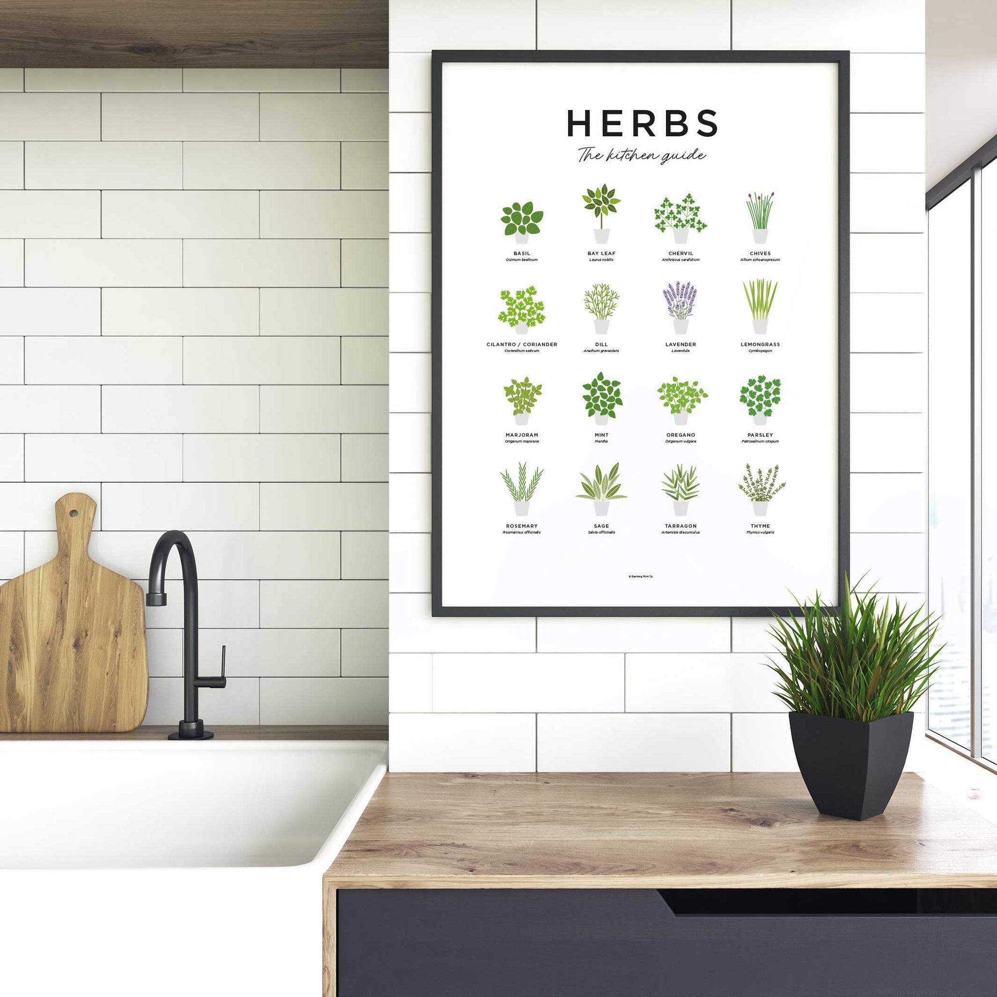 HERBS GUIDE - Kräuter Poster 40x50 cm | Everlong Print
