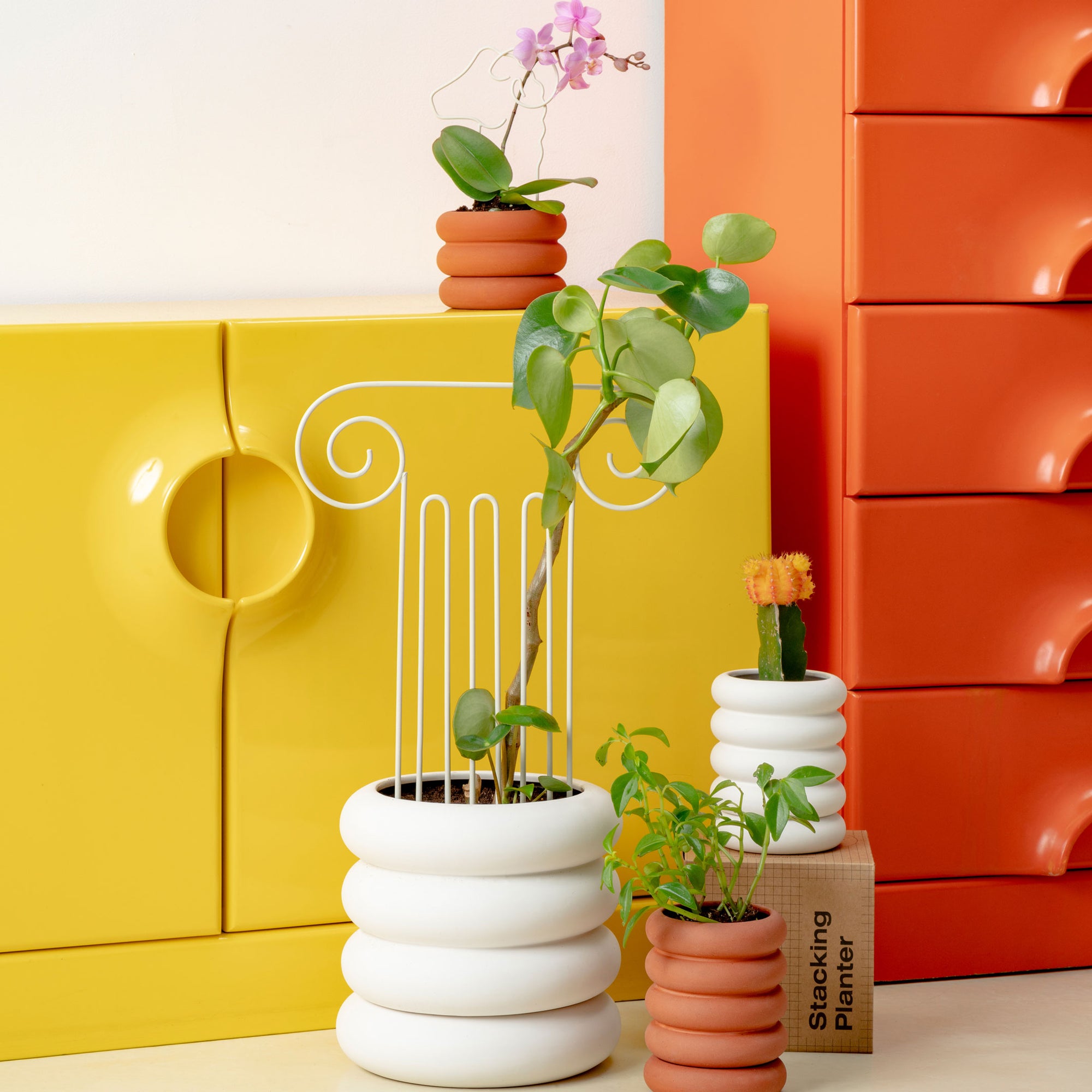 PLANT TRELLIS | Chen Chen & K. Williams | Areaware